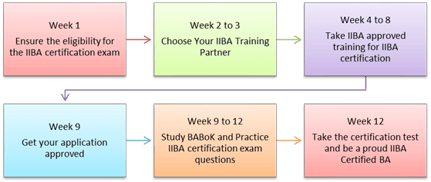 IIBA Certifications Process - A Step by Step Approach