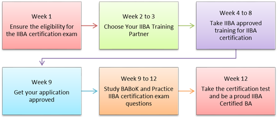 IIBA Certifications Process - A Step by Step Approach